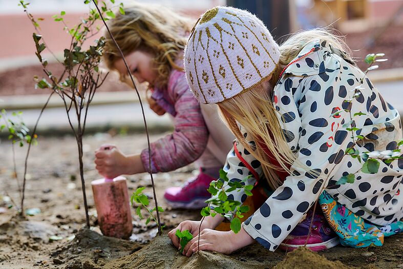 Student Admission Process - Vienna International School