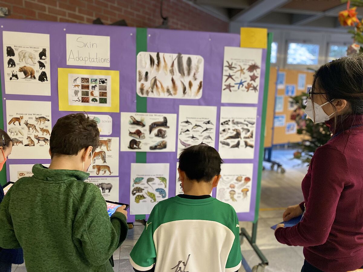 Biodiversity Exhibition - Vienna International School